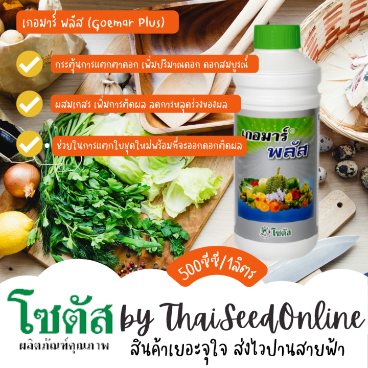 เกอมาร์ พลัส (Goemar Plus) เกอมาร์ พลัส ส่งเสริมการออกดอกติดผล ฟื้นสภาพ ...