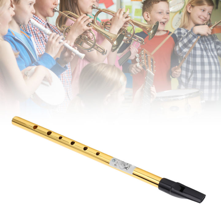 Irish Whistle Flute Crisp Sound Wind Musical 6 Holes Whistle Flute ...
