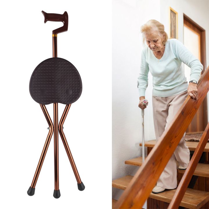 Foldable Walking Stick Metal Walking Cane Balancing Mobility Aid for ...