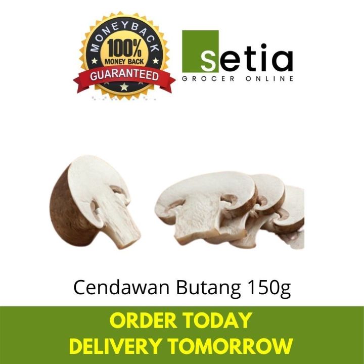 Champ Fungi White Button Mushroom ( Cendawan Butang ) 150g | Lazada