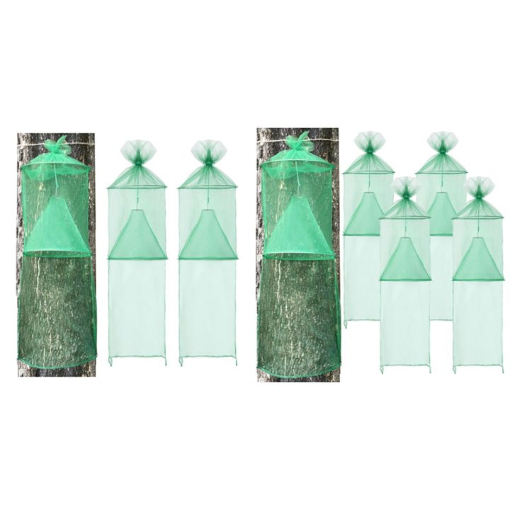 Spotted Lanternfly Traps Lantern with Rope and Nails Effective Way to ...