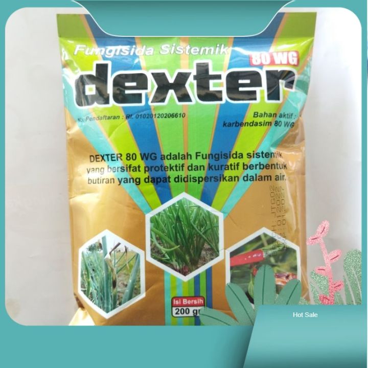 Fungisida sistemik DEXTER 80WG 200 gram, karbendazim, obat patek ...