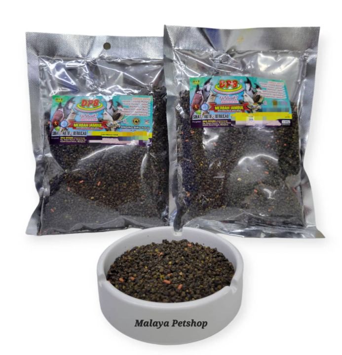 DPB Murai Borneo (Dedak DPB Murai Batu Borneo (MB) / Murai Kampung (MK ...