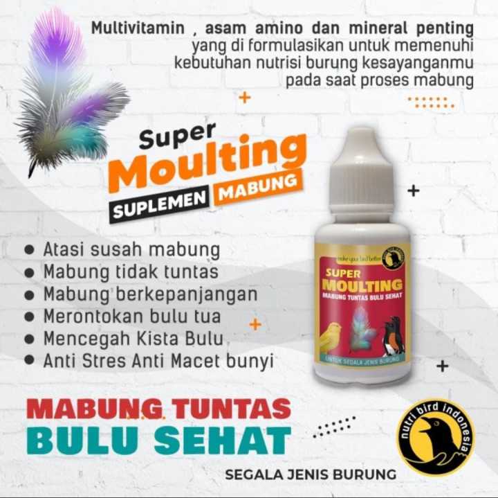 Vitamin burung super moulting nutribird vitamin burung mabung ngurak ...