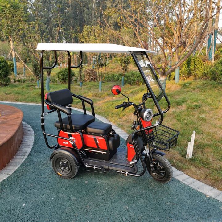 Xixi minibus fully enclosed leisure carport folding bike electric ...