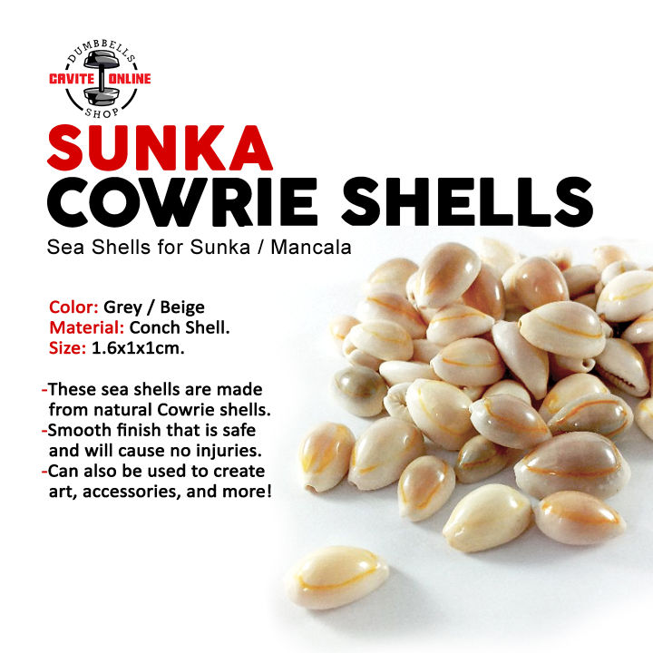 Sungka Shell/ Sigay/ Sea Shells/ Cowrie Shells | Lazada PH