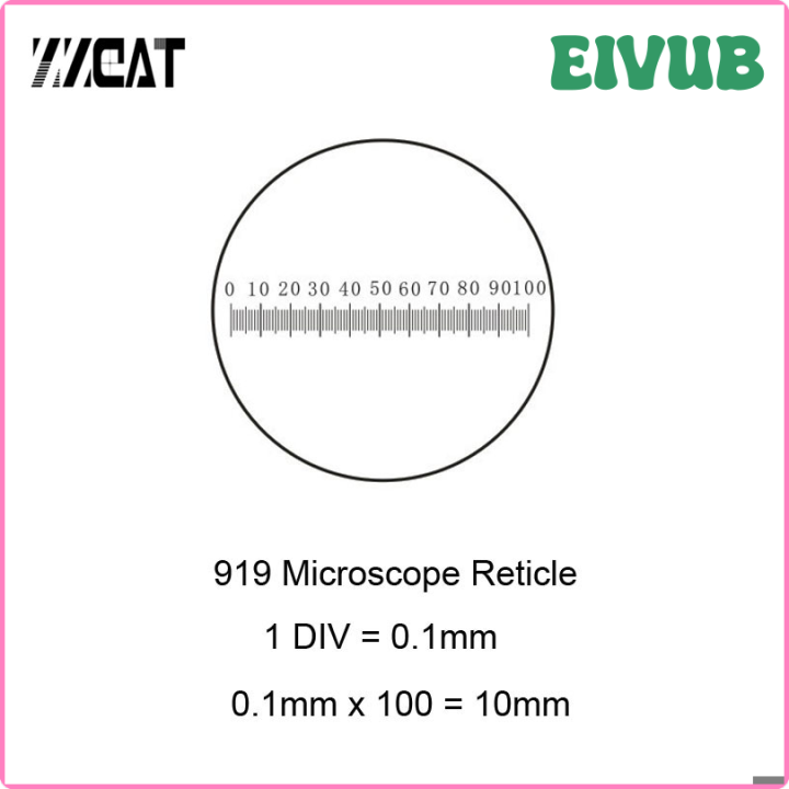 EIVUB 919 Microscope Accessory Ruler mm Scale Ruler for Diameter ...