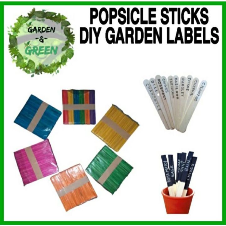 DIY Garden label Popsicle Stick 50pcs | Lazada PH