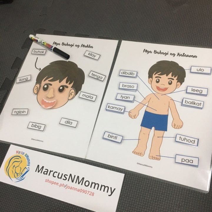 Parts of the Body ( Filipino) Activity Worksheet for Kids | Lazada PH