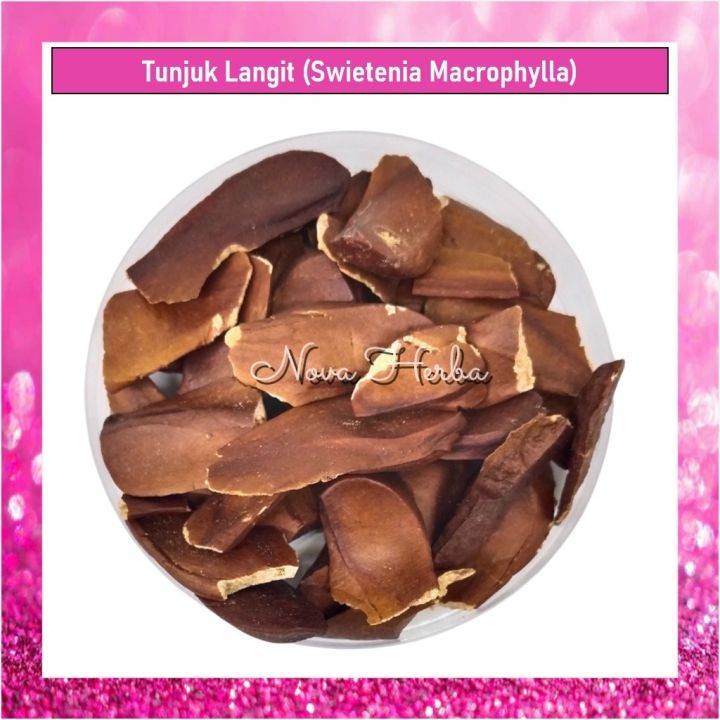 Buah tunjuk langit dried (Swietenia macrophylla) skyfruit bigleaf ...