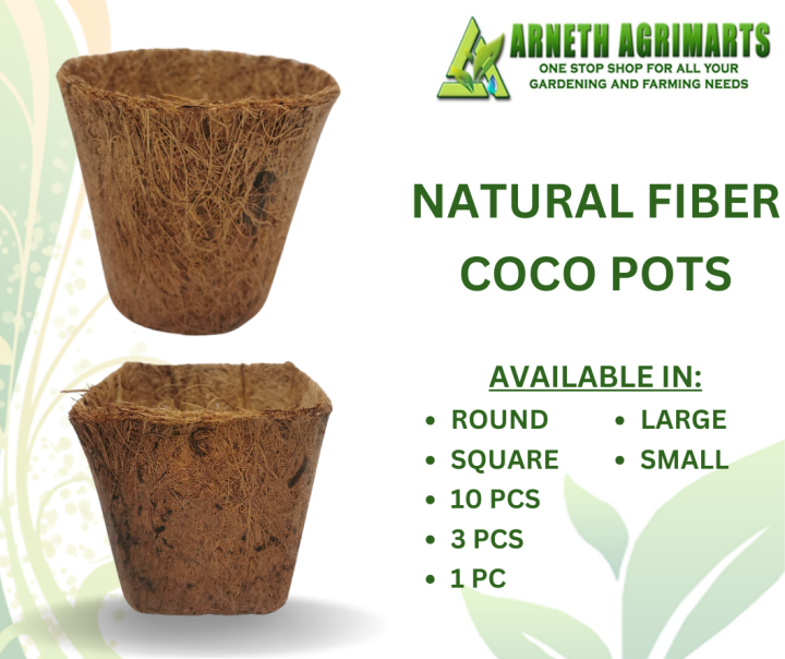 COCO POTS 10PCS / NATURAL COCO FIBER POTS / SQUARE ROUND CUTE POTS FOR ...