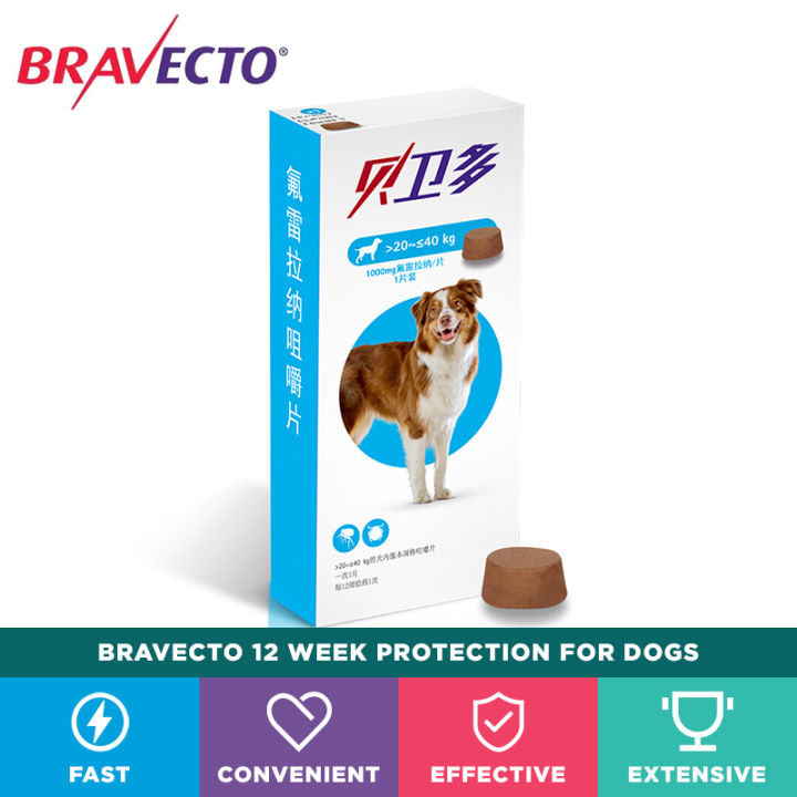 Bravecto Chew for Dogs 20-40 kg Blue Box 1 Tablet Per Box | Lazada PH