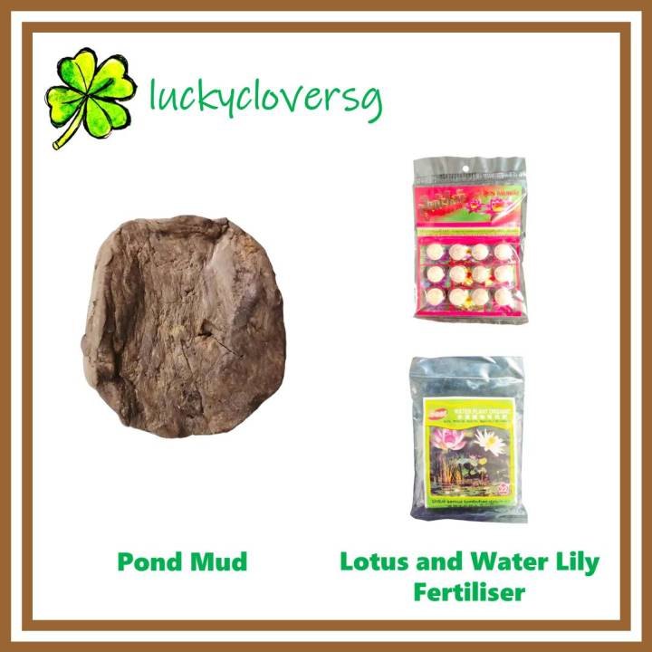 Round Pond Mud For Lotus / Water Lily / Lilies / Lotus Fertiliser ...