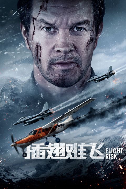 Bluray Flight Risk 2025 UltraHD 4K 插翅难飞 4K | Lazada