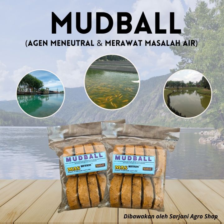 MUDBALL WATER TREATMENT MAS HITAM (10 pieces per packet) | Lazada