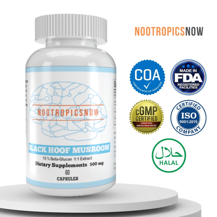 Black Hoof Mushroom (Phellinus linteus) Memory Booster Supplement ...