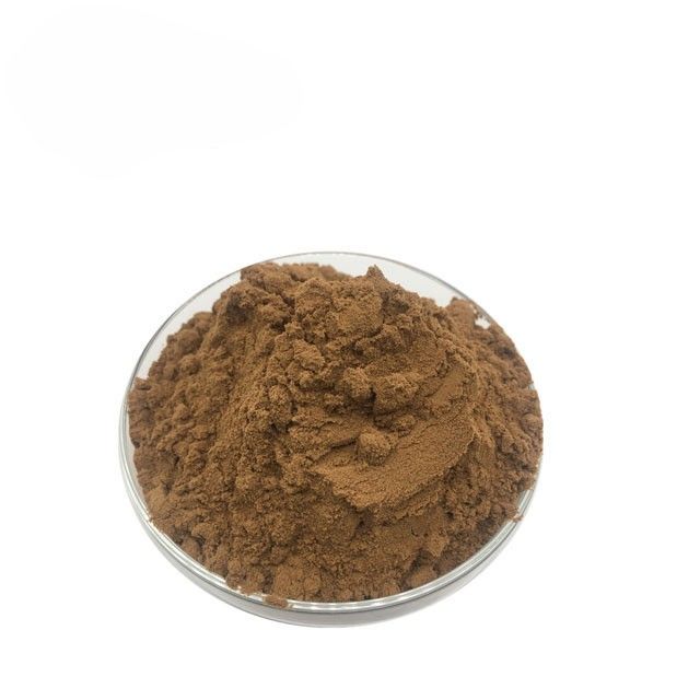 CISTANCHE SALSA EXTRACT POWDER CISTANCHE BUBUK 50GR | Lazada Indonesia