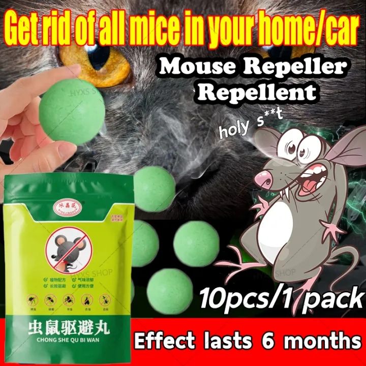 Powerful Mothball For big Mouse Rats Trap Effectively Moth ball rat ...