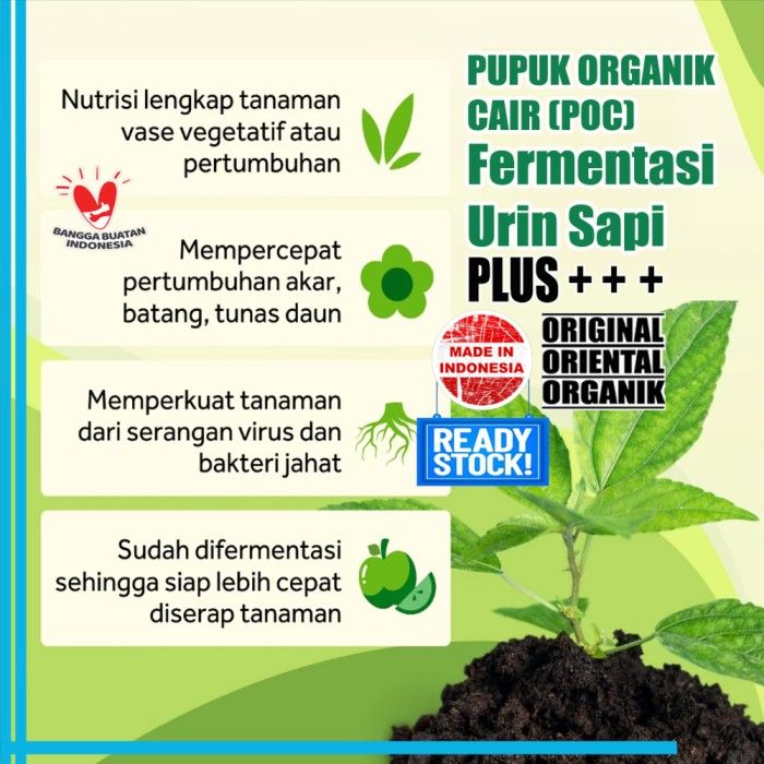 Pupuk Cair Fermentasi Urin Sapi 1 Liter POC Pertumbuhan Tunas Batang ...