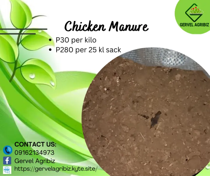 Pure Chicken manure, Chicken Poop, Ipot ng Manok, Organic Chicken ...
