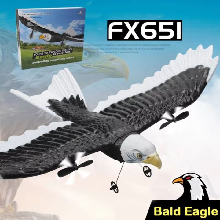 SGFDD RC s RC Eagle Aircraft Fighter Gravity Sensing EPP Foam Eagle RC ...