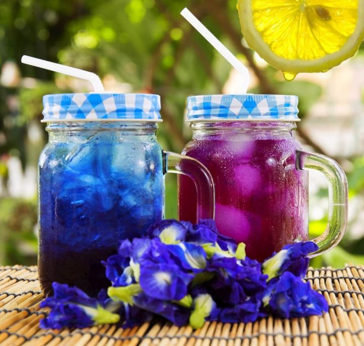 Blue Butterfly Pea /Clitoria Ternatea Dried 100% pure Organic 25 ...