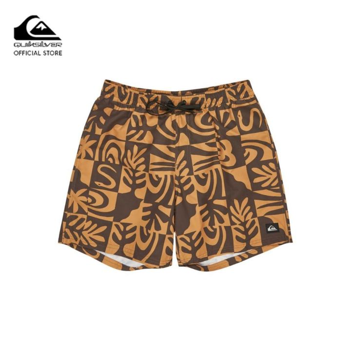 Quiksilver Men Everyday Straight 17" Swim Shorts - Chocolate Brown ...
