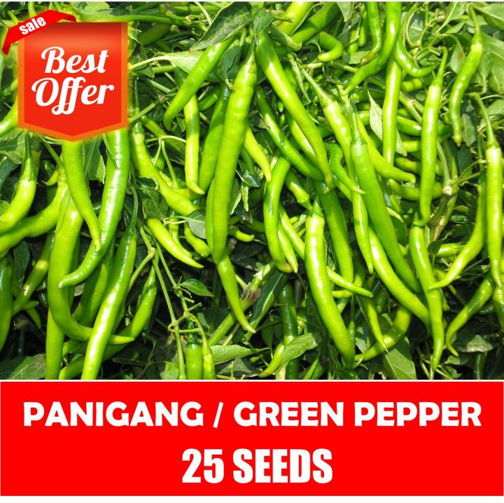 Panigang Seeds - Green Pepper Seeds | Lazada PH
