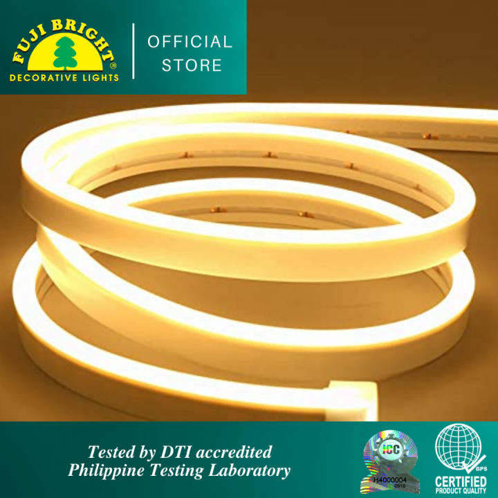 Fuji Bright LED Neon Light Waterproof 220V (Sold Per Meter) | Lazada PH