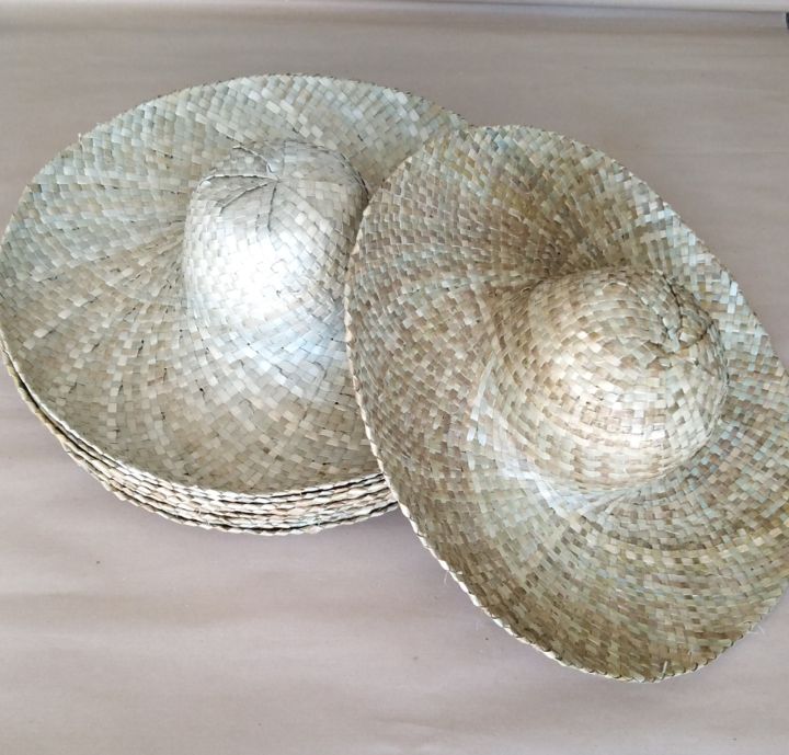 4pcs. Native Farmer's Hat/ Sumbrero (17inch diameter) | Lazada PH