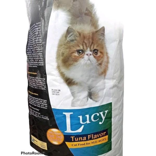 Lucy Cat All Stages Dry Food with Hairball Control 1KG Repacked | Lazada PH