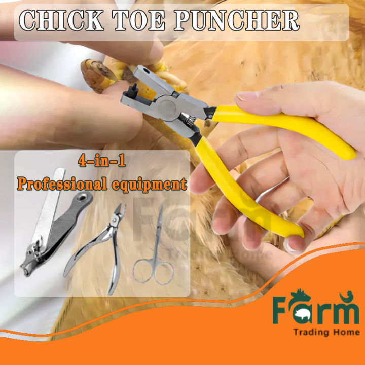 4 IN 1 Gamefowl Kit Chick Toe Marker + Feet Puncher Applicator ...