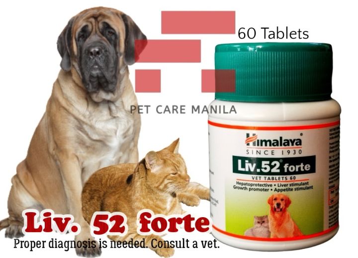 (Exp. March 2025) Himalaya Liv.52 Forte, 60 tablets (Liv52 Forte ...