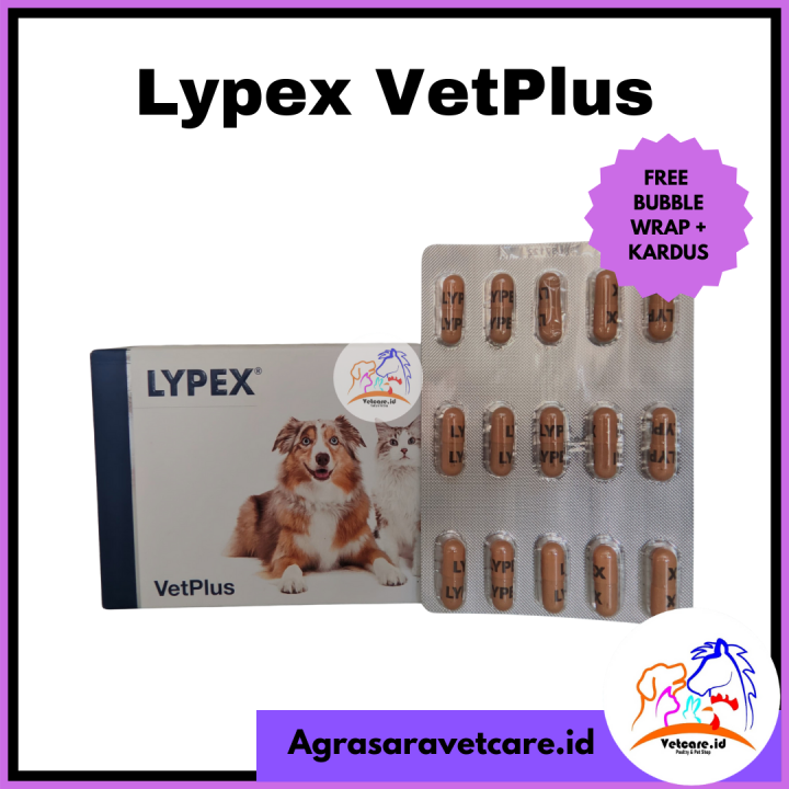 LYPEX Vetplus 15 capsul- Enzim Anti Diare & Pencernaan untuk Kucing dan Anjing | Lazada Indonesia