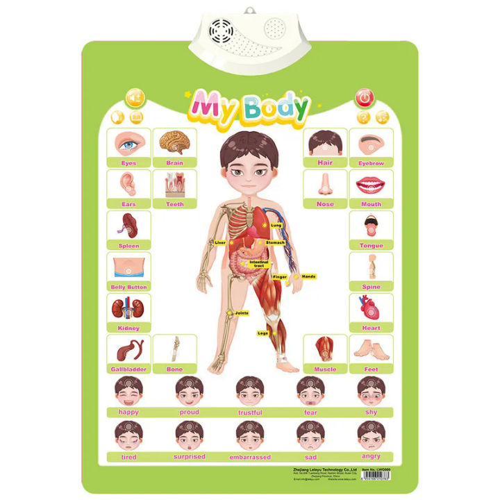 My Body PVC Kid Cognitive ABC Wall Chart Educational Audio Talking ...