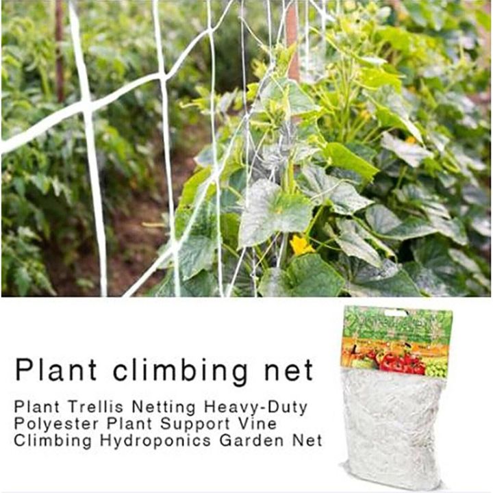 Garden White Trellis Netting Support Bean Plant Nets Mesh Vegetables ...