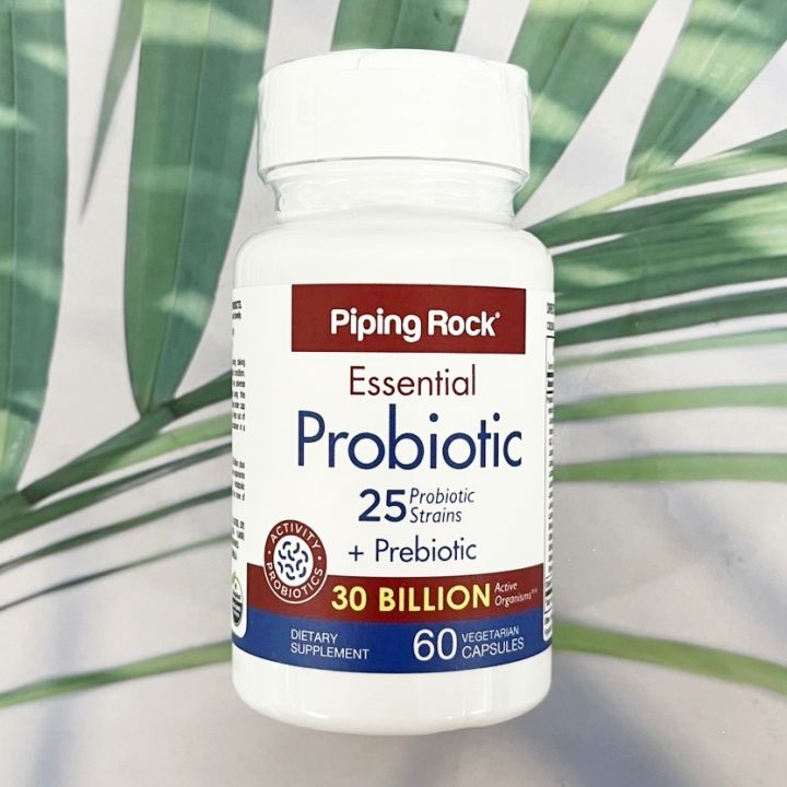 โปรไบโอติก พรีไบโอติก Essential Probiotic 25 Strains 30 Billion ...