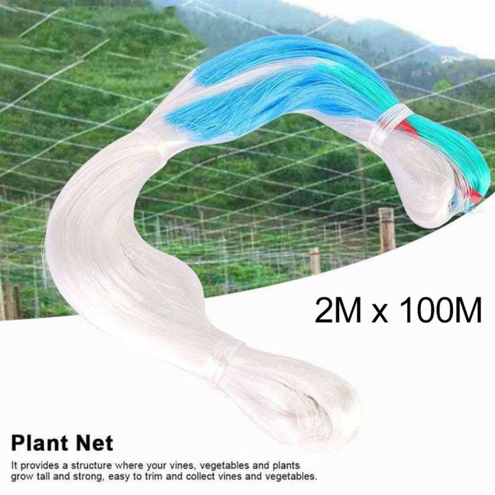 Supporting Net Plant Supporting Pea Frame 2MX100M/3.5M * 100M Climbing ...