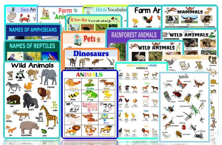 SCIENCE CHARTS A4 SIZE LAMINATED | Lazada PH