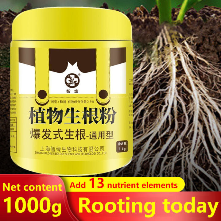 Rooting powder for plants 1000g Rooting hormone for cuttings Ultra ...