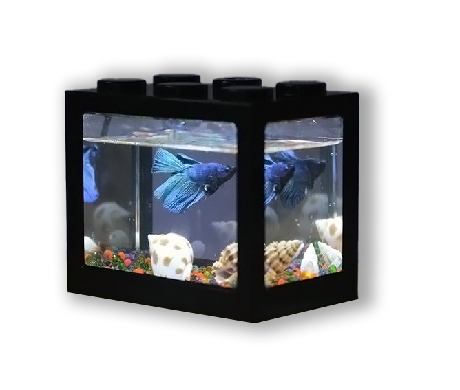 ♥BUCK PET♥ LED Betta Fish Tank 10 Color Mini Aquarium Betta Fish Tank ...