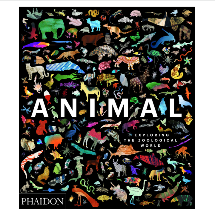 Artbook - Sách Tiếng Anh - Animal: Exploring the Zoological World ...