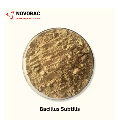Bacillus subtilis Fungicide - Powerful Bio Fungicide for Organic Crop ...