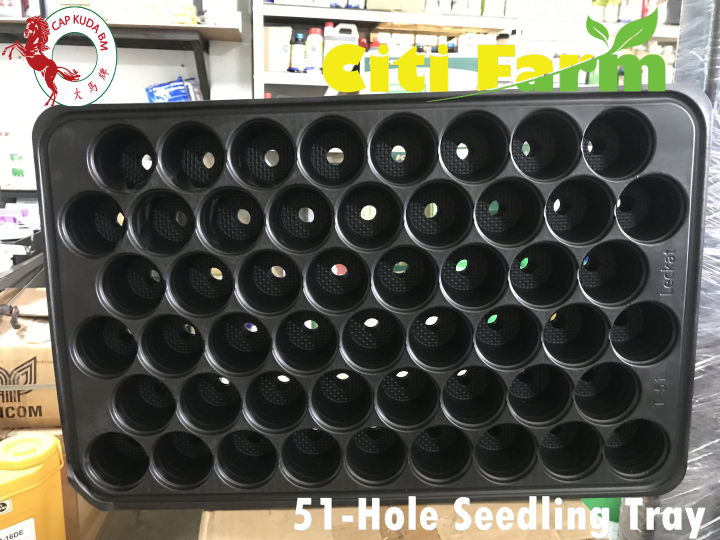 +51-Hole Seedling Tray Semaian Plastic Nursery Seed Germination City ...