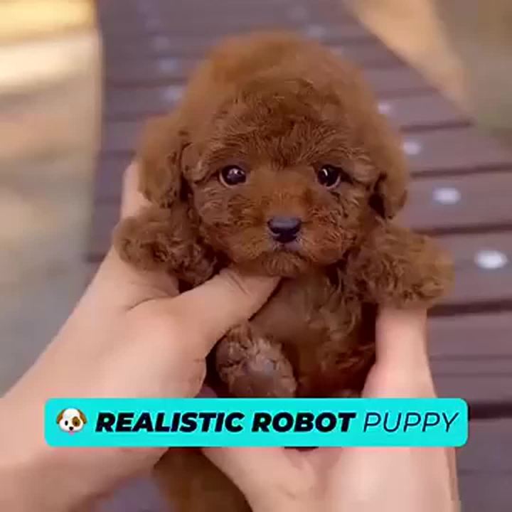 2025 New Robot Dog, My Realistic Robotic Puppies, Robot Puppy That Acts ...