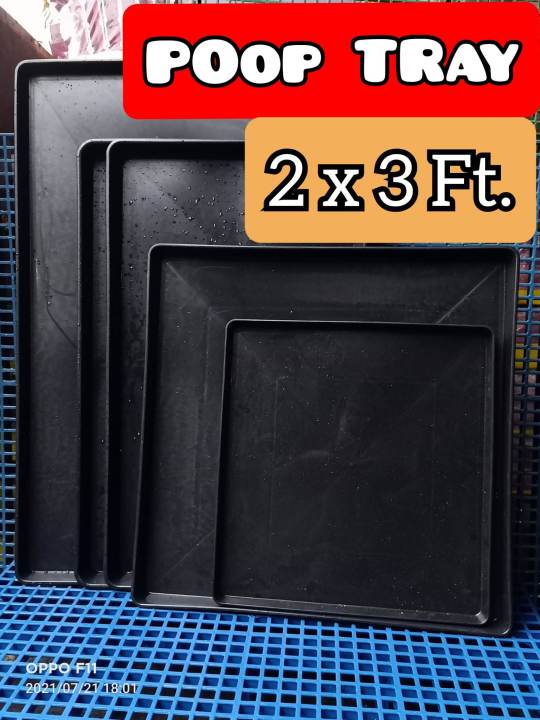 Poop Tray 2x3 Ft. | Lazada PH