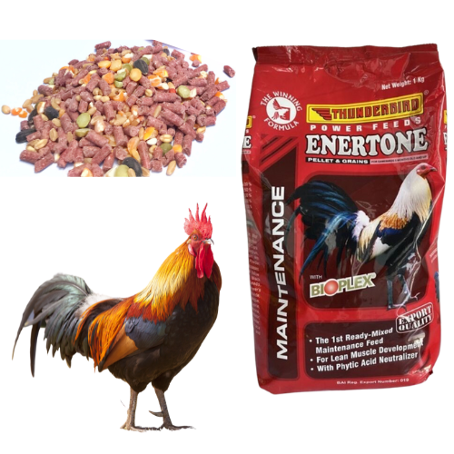 ENERTONE PELLET AND GRAINS FOR GAMEBIRDS/GAMEFOWLS 5 MONTHS OLD AND UP ...