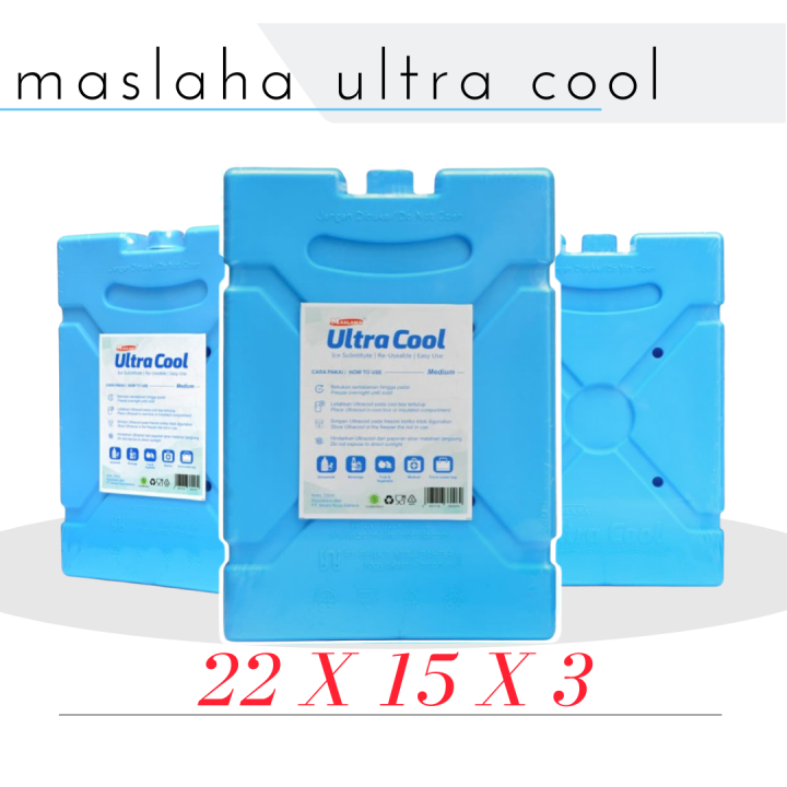ICE PACK UNTUK AIR COOLER - ICE PACK BLUE GEL - BLUE ICE LUNCH PACK ...