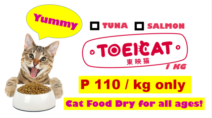 TOEI Cat Food For All Ages, SALMON Flavor, Repacked in 1 KG | Lazada PH