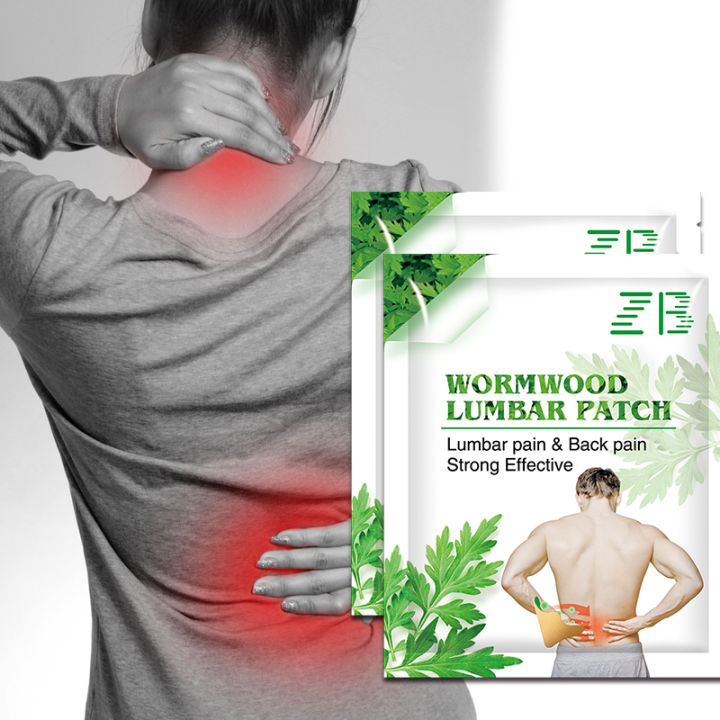 ZB 24pcs/2bags Wormwood Low Back Pain Patch Traditional Chinese ...